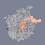 ProteinQure - Pipeline